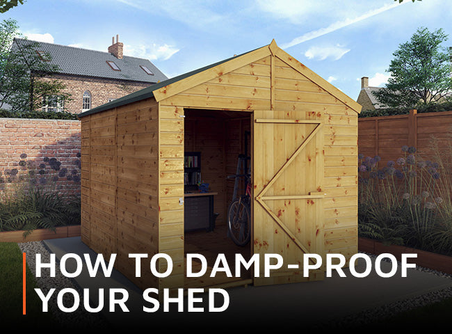 How to damp-proof your shed | Waltons